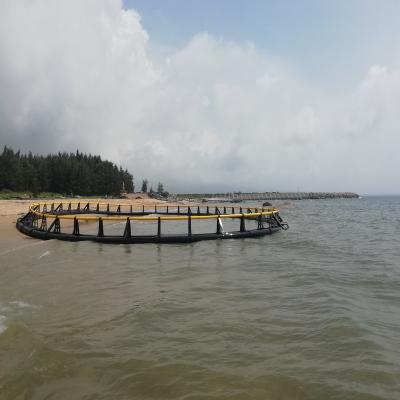 China 30m Perimeter Small Circular Aquaculture Cage For Seawater Nursery for sale