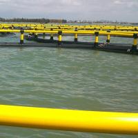 China Custom HDPE Circular Fish Cage For Large Scale Marine Farm Project for sale