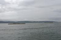 China Wish higher farming output year by year? Our HDPE Fish Cages support efficient high-density culture for sale