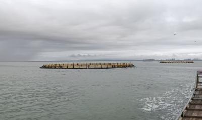 China Looking for cost-effective cages? Our HDPE Fish Cages work reliably in freshwater for over 15 years for sale