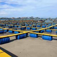 China Looking for cost-effective cages? Our HDPE Fish Cages work reliably in freshwater for over 15 years for sale
