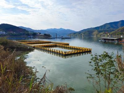 China Suitable for 6–50m lakes & reservoirs, stable for milkfish 20–24kg/m³ high-density culture for sale