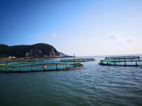 China Anti-wave & anti-escape design supports stable catfish culture within 22–26kg/m³ stocking density for sale