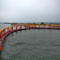 China Large-Volume HDPE Circular Fish Cage, Standard Equipment for Commercial Marine Fish Farm for sale