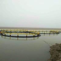 China Large-Volume HDPE Circular Fish Cage, Standard Equipment for Commercial Marine Fish Farm for sale