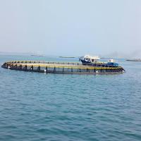 China Large-Volume HDPE Circular Fish Cage, Standard Equipment for Commercial Marine Fish Farm for sale