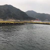 China Customizable HDPE Circular Seawater Cage for Fingerling & Grow-out Culture for sale