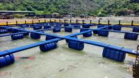 China Smart Farming Ready: Integrating Feeding and Monitoring Systems with Modern HDPE Fish Cages for sale