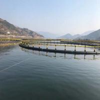 China Wave-Resistant HDPE Circular Fish Cage for Offshore Aquaculture | 15-Year Service Life for sale