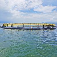 China Wave-Resistant HDPE Circular Fish Cage for Offshore Aquaculture | 15-Year Service Life for sale