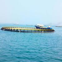 China 90m Perimeter Large HDPE Fish Cage | 100+ Ton Annual Output | Fast ROI for sale