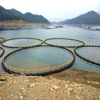 China Customized HDPE Fish Cage Full Solution | One-Stop Service from Survey to Installation for sale