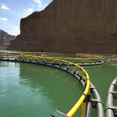 China Eco-Friendly HDPE Aquaculture Cages | Zero Pollution & Marine-Safe Design for sale