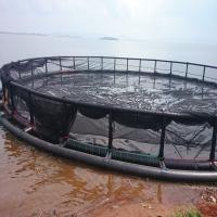 China Eco-Friendly HDPE Aquaculture Cages | Zero Pollution & Marine-Safe Design for sale