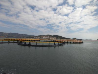 China The Procurement Roadmap: Key Specifications Commercial Farmers Look for in HDPE Fish Cages for sale
