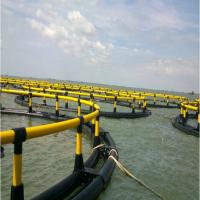 China Eco-Friendly HDPE Aquaculture Cages | Zero Pollution & Marine-Safe Design for sale