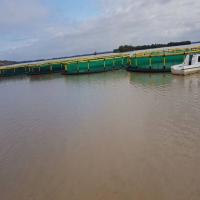 China HDPE Cages for African Freshwater Lakes | Ideal for Lake Victoria & Lake Tanganyika Tilapia Farming for sale