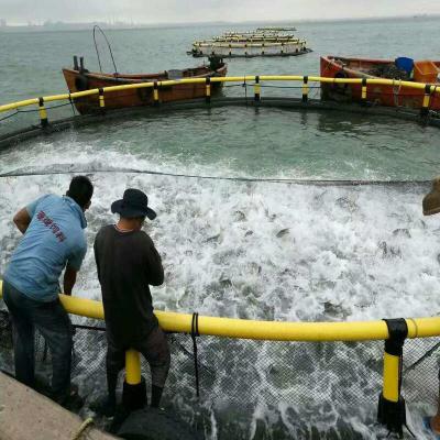 China HDPE Cages for African Freshwater Lakes | Ideal for Lake Victoria & Lake Tanganyika Tilapia Farming for sale