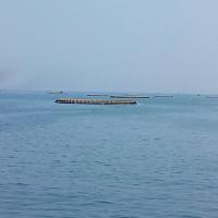 China HDPE Cages for African Freshwater Lakes | Ideal for Lake Victoria & Lake Tanganyika Tilapia Farming for sale
