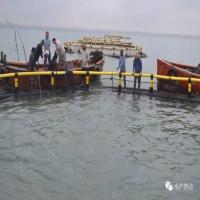 China Full-Set HDPE Fish Cage | 7-Day Fast Installation | Immediate Production for sale