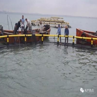 China Full-Set HDPE Fish Cage | 7-Day Fast Installation | Immediate Production for sale