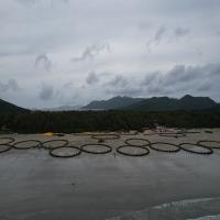 China Full-Set HDPE Fish Cage | 7-Day Fast Installation | Immediate Production for sale