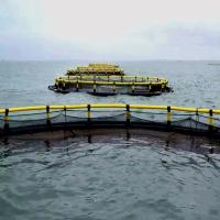 China Cage + Anchoring + Netting + Feeder | Complete Aquaculture Equipment One-Stop Supply for sale