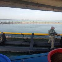 China Cage + Anchoring + Netting + Feeder | Complete Aquaculture Equipment One-Stop Supply for sale