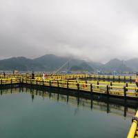 China Replace Steel/Wooden Cages | HDPE Corrosion Resistant | 3× Longer Lifespan for sale