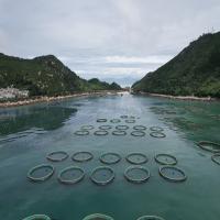 China Replace Steel/Wooden Cages | HDPE Corrosion Resistant | 3× Longer Lifespan for sale