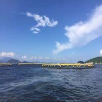 China Multiple Mesh Sizes Available | Fits Tilapia, Grouper, Catfish, Shrimp & More for sale