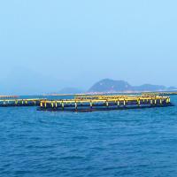 China Multiple Mesh Sizes Available | Fits Tilapia, Grouper, Catfish, Shrimp & More for sale