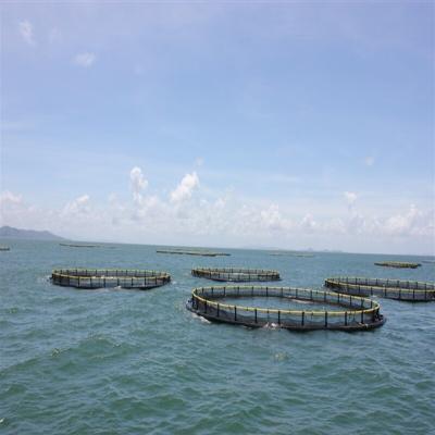 China HDPE Cages for Tropical Deep Lakes | Ideal for Lake Tanganyika & Lake Victoria | Heat & UV Resistant for sale