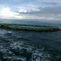 China HDPE Cages for Tropical Deep Lakes | Ideal for Lake Tanganyika & Lake Victoria | Heat & UV Resistant for sale