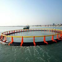 China Typhoon-Resistant HDPE Cages | Extra-Thick Frame + Heavy Mooring | Withstands Level-12 Storms for sale