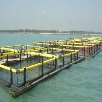 China Live Fish Holding & Grading Cages | Pre-Sale Storage / Size Sorting / Quarantine | Flexible & Efficient for sale