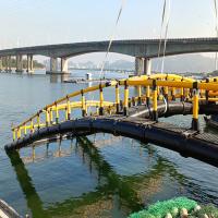 China Live Fish Holding & Grading Cages | Pre-Sale Storage / Size Sorting / Quarantine | Flexible & Efficient for sale