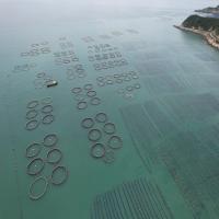 China Smart Aquaculture Cage System | Real-Time DO/Water Temp/pH Monitoring | Remote Management for sale