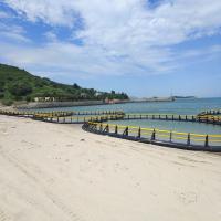 China Smart Aquaculture Cage System | Real-Time DO/Water Temp/pH Monitoring | Remote Management for sale