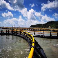 China Smart Aquaculture Cage System | Real-Time DO/Water Temp/pH Monitoring | Remote Management for sale
