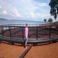 China HDPE Fish Cages for Brackish Estuaries | Salt Corrosion & Silt Resistant, Suitable for Lagoon & Estuary Farming for sale