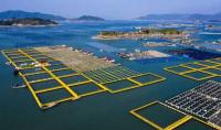 China Two‑in‑One HDPE Fish Cage: Aquaculture + Recreational Fishing for sale