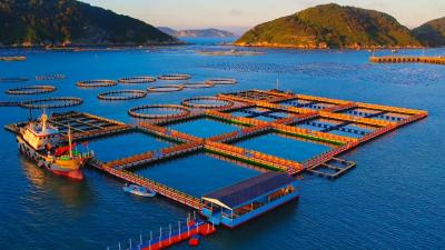 China Two‑in‑One HDPE Fish Cage: Aquaculture + Recreational Fishing for sale