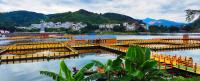 China Two‑in‑One HDPE Fish Cage: Aquaculture + Recreational Fishing for sale