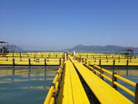China Two‑in‑One HDPE Fish Cage: Aquaculture + Recreational Fishing for sale