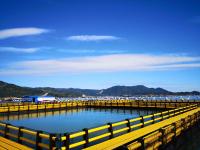 China Dual‑Purpose HDPE Floating Fish Cage｜Aquaculture + Recreational Fishing for sale