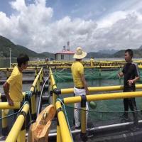 China Square HDPE Fish Cage Resistant to Water‑Level Fluctuation for sale