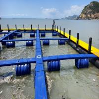 China Cost‑Effective Modular Combined Fish Raft Cage for sale