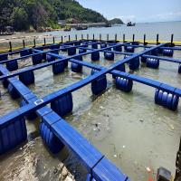 China Cost‑Effective Modular Combined Fish Raft Cage for sale