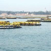 China High Water‑Exchange Circular HDPE Deep‑Water Fish Cage for sale